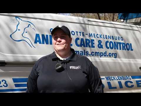 Lateral Entry Program – CMPD Recruitment