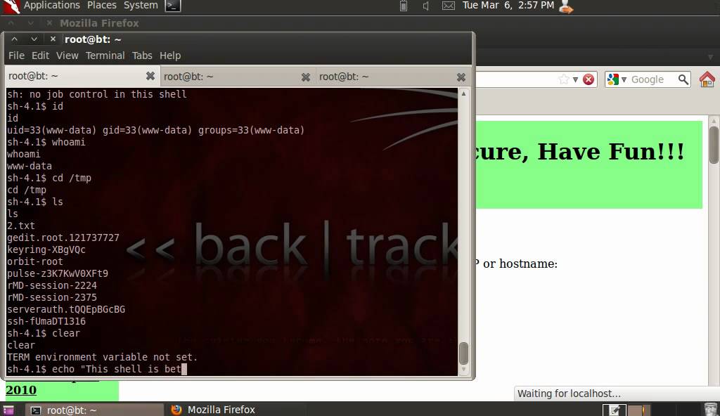 Python One Line Reverse Shell (One Request Ownage) - Mutillidae Command Execution