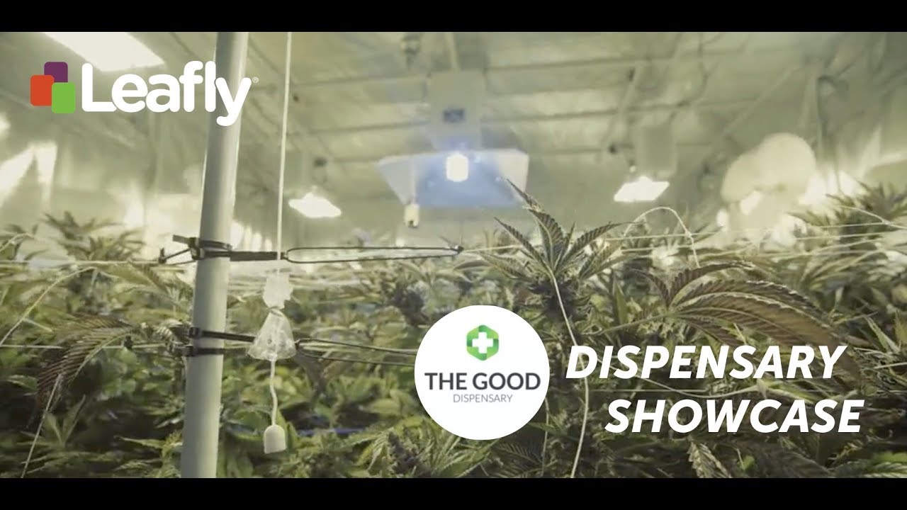 The Good Dispensary in Mesa, Arizona – Dispensary Showcase