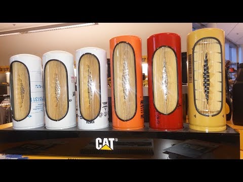 Are Cat Filters Worth The Money? Are Cat Filters Better?