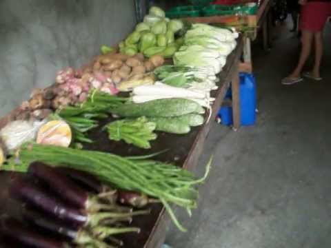 Menudo part 3 - Hot peppers for the Menudo - Life in the Philippines