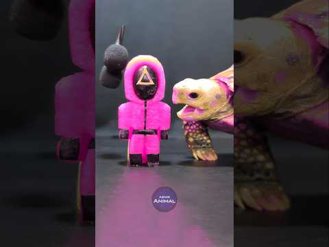 Squid Game ASMR Mukbang Eating Pink Soldier 🦑 Turtle Tortoise
