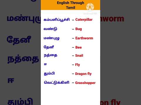Bugs names #spokenenglish
