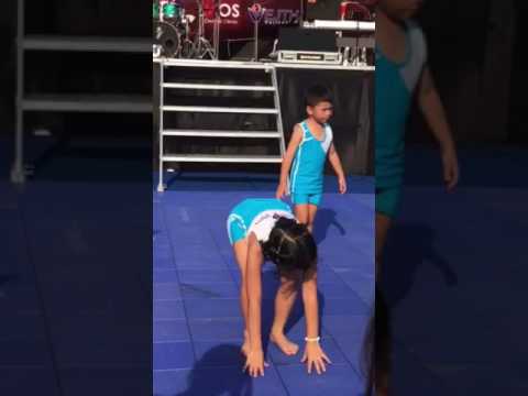 Primary gymnastic at Traill.