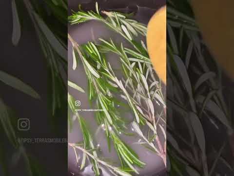 Rosemary Simple Syrup Recipe: #simplesyrup #cocktail #mixology #tipsyterrasmobilebartendingllc