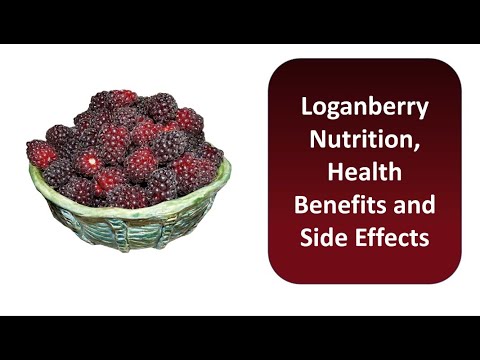 Loganberry Nutrition, Health Benefits and Side Effects