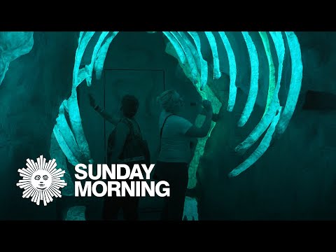 Art collective Meow Wolf