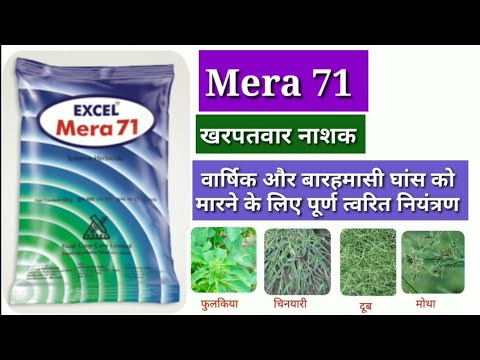 Mera 71 Excel Herbicide, Glyphosate 71% SG, Price from Rs.125/unit ...