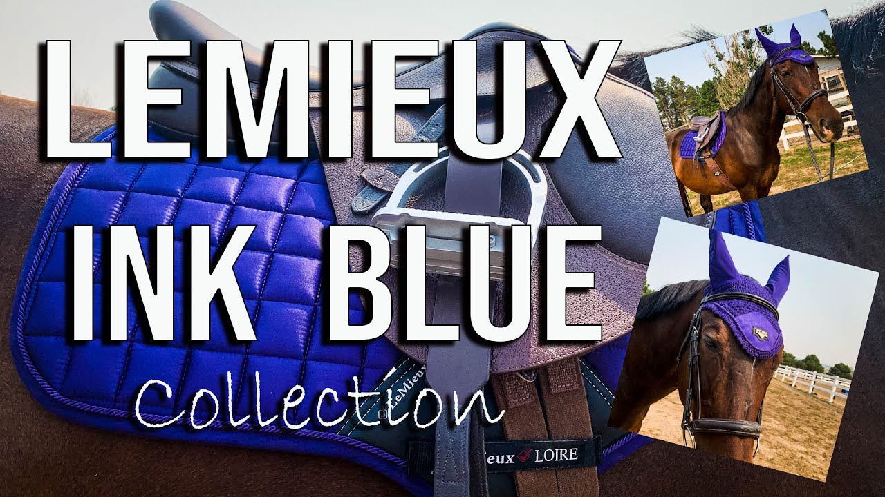 LeMieux Ink Blue Collection First Look || Saddle Pad and Ear Bonnet