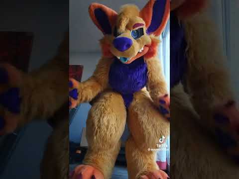 ‘Test’ #furry #furries #fursuit #viral #tiktok #fyp #shorts