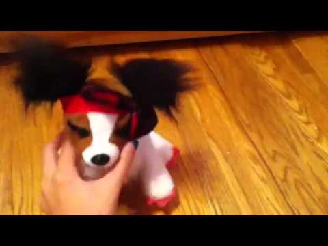 Webkinz Rockerz Papillon 85 Plush Usa | economizedchokers