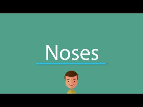 Noses pronunciation
