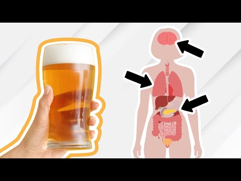 Everything Alcohol Does To Your Body