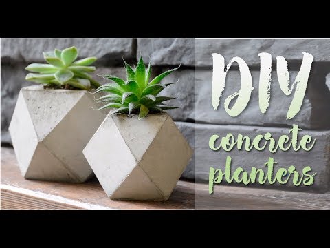 DIY Concrete Planters
