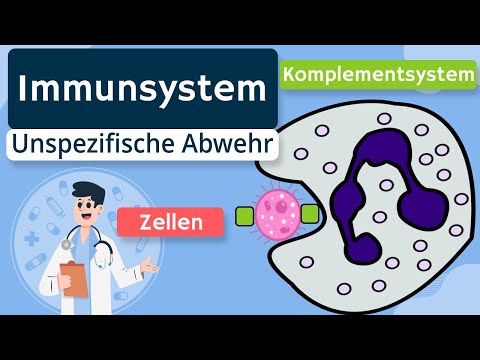 Unspezifische Immunabwehr (Zellen, Komplementsystem) - Immunsystem einfach erklärt