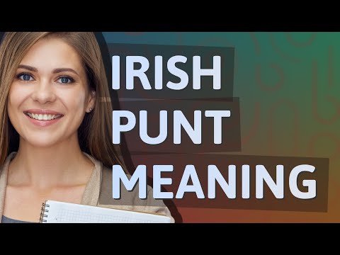 Irish punt | meaning of Irish punt