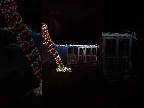 Seasons Greetings from Florida