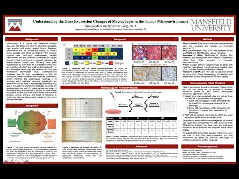 Understanding the Gene Expression Changes of Macrophages in the Tumor Microenvironment- COPLAC 2021