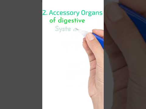 accessory Organs // digestive system// define accessory Organs