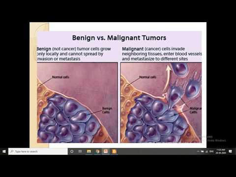 Cancer Biology-basics Course Part I