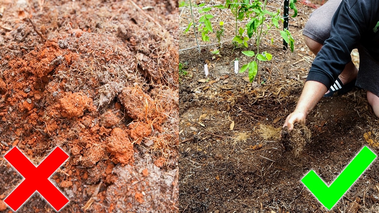 Improving Clay Soil the EASY Way for the Homestead Garden