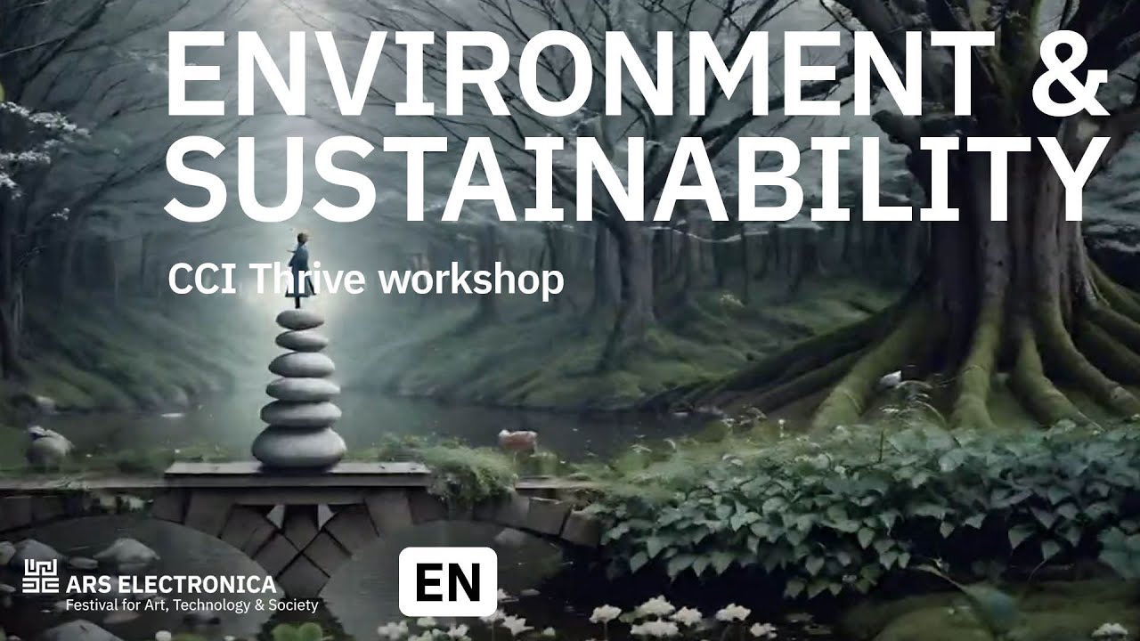 Environment & Sustainability Value outcomes I CCI Thrive workshop