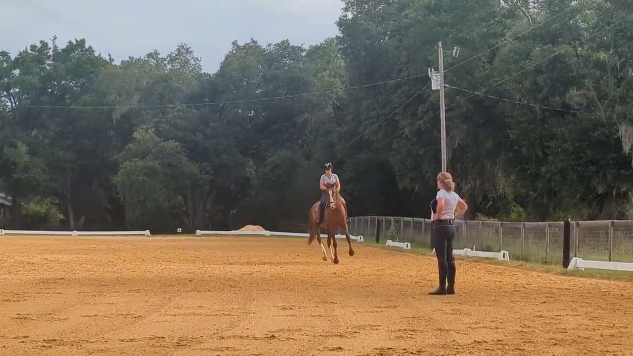 Training in the Right Way: The Process vs The End Goal | HORSE NATION