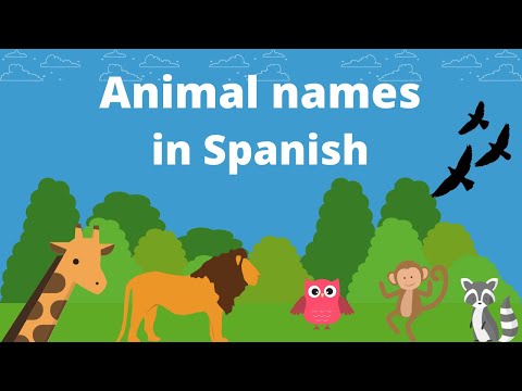 Learn Animal Names in Spanish. Learn Spanish Vocabulary.