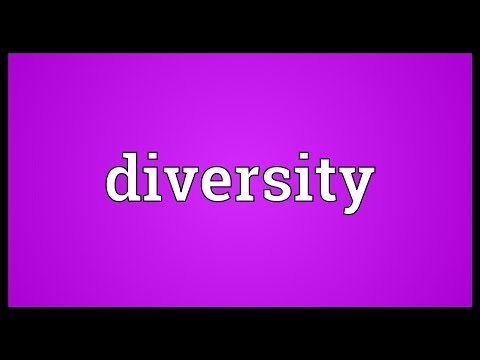 Diversity Meaning