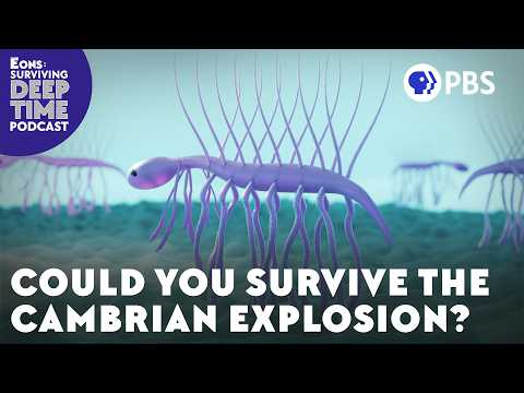 Could You Survive the Cambrian Explosion? – Smuggling Grace