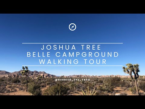2023 WALKING TOUR OF BELLE CAMPGROUND AT JOSHUA TREE NATIONAL PARK IN CALIFORNIA - CAMPING TOURS