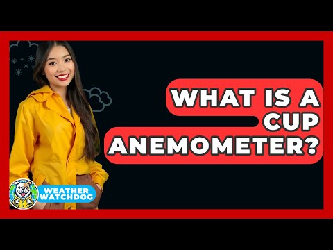 What Is A Cup Anemometer? - Weather Watchdog