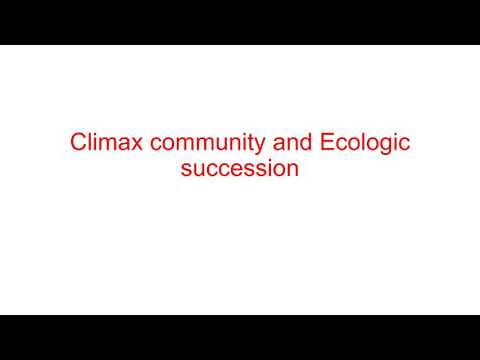 Climax community and ecological succession