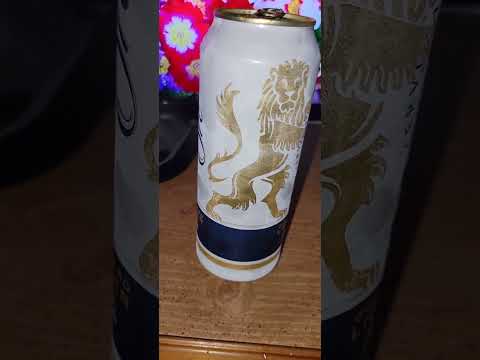 modelo oro review | modelo oro beer | first time drinking modelo oro