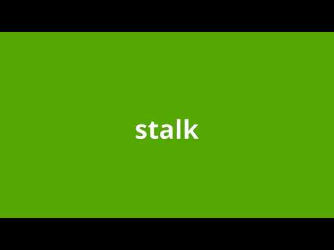 what is the meaning of stalk.