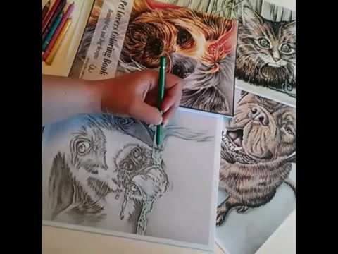 Coloring in the Pet Lovers Coloring Book: Dog Drinking