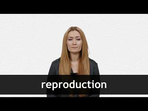 REPRODUCTION definition and meaning | Collins English Dictionary