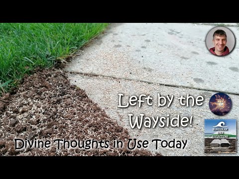 Fall by the Wayside