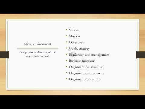 Business studies Grade 10 term1. The micro environment