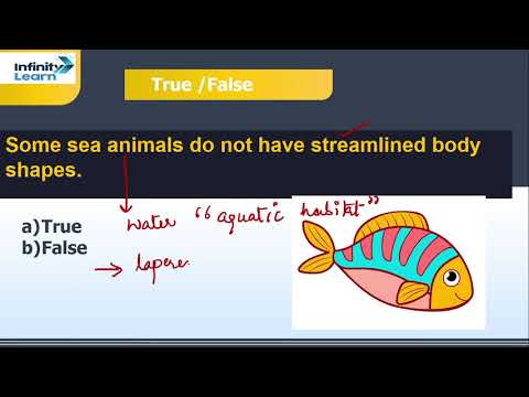 Some animals do not have streamlined body shapes.