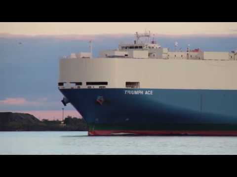 Triumph Ace Comes to Baltimore October 28, 2018 – Baltimore Shipspotting