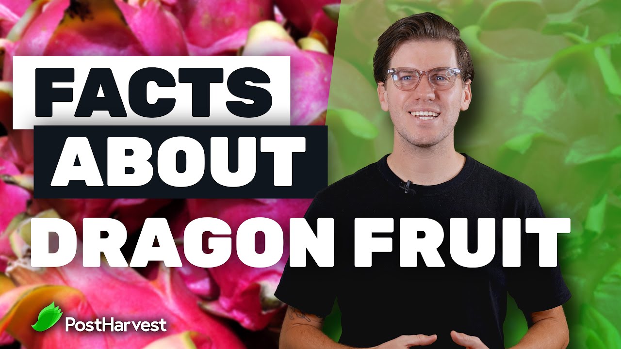 Facts About Dragon Fruit