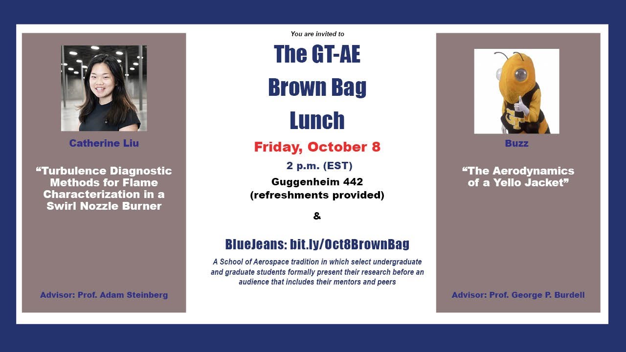 Aerospace Engineering Brown Bag Lecture Series, Featuring Catherine Liu