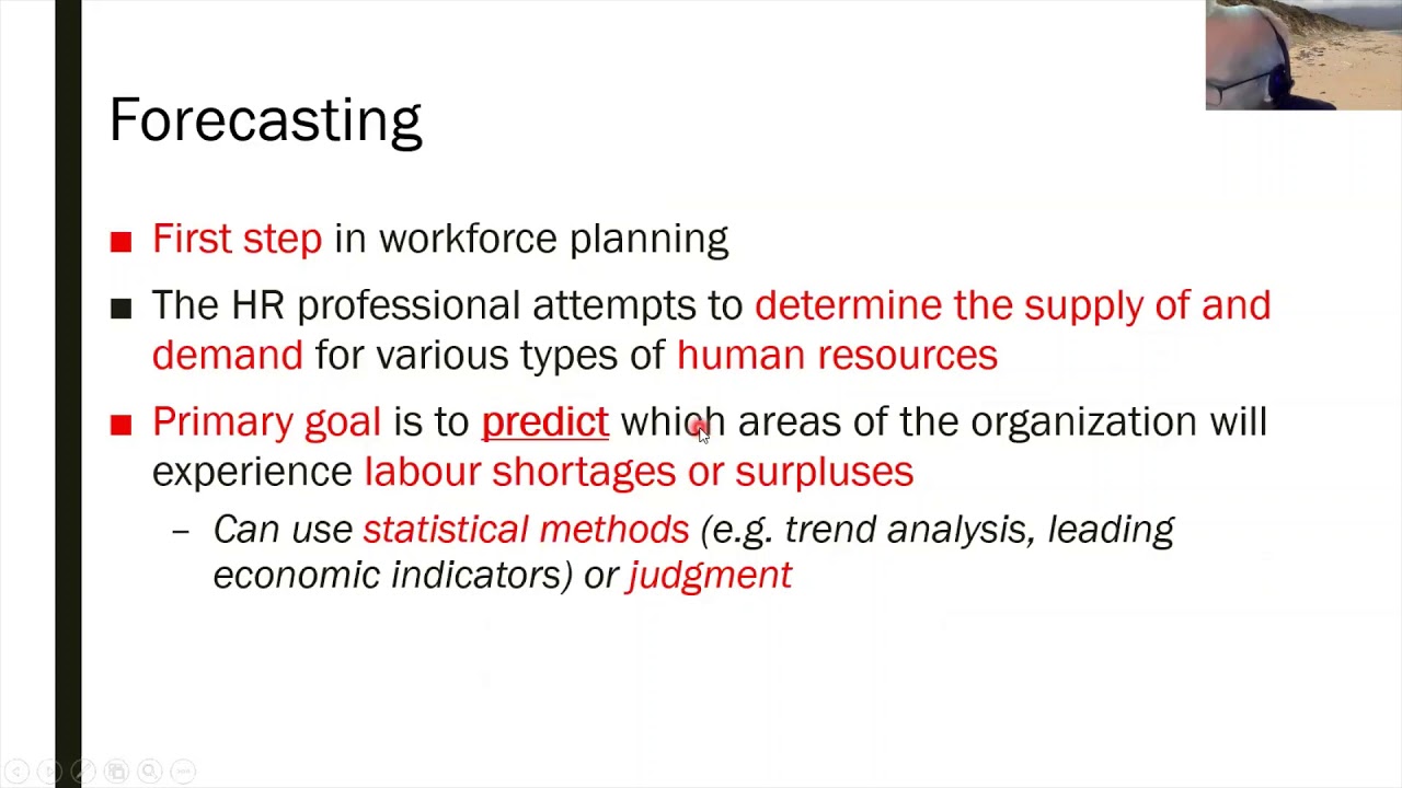 Mgmt 243 - Chapter 4 - Workforce Planning and Recruitment