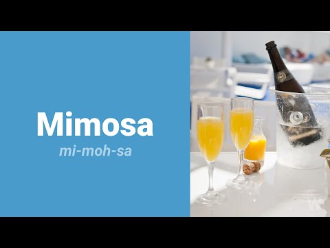 How to Pronounce Mimosa?