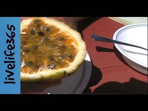 What is...Passion Fruit?