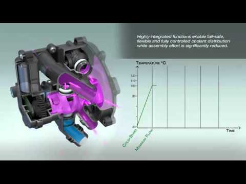 Thermomanagement Module [Schaeffler]