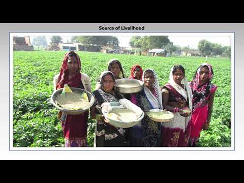 ROLE OF AGRICULTURE IN INDIAN ECONOMY