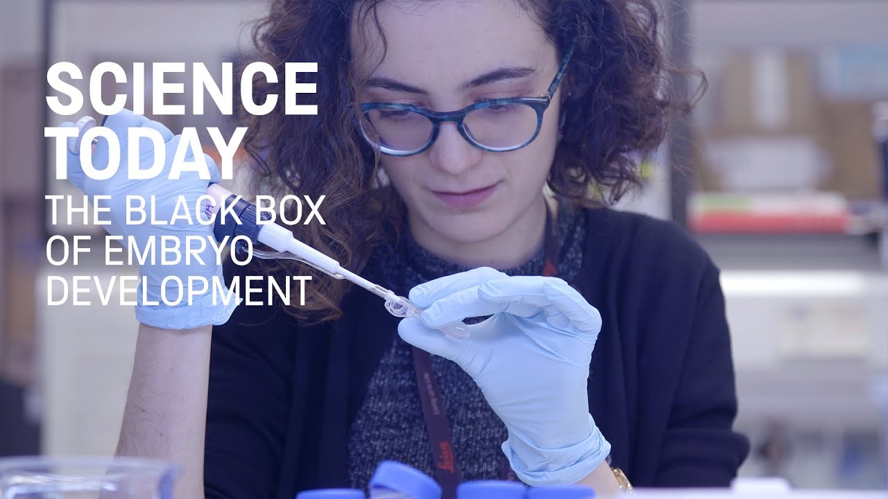 Breakthrough in growing human embryos