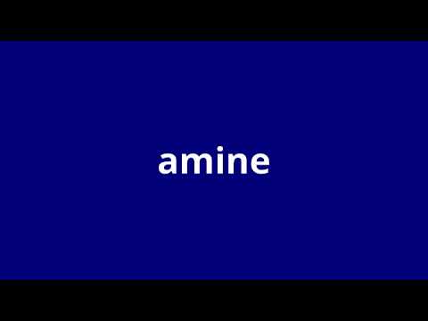 what is the meaning of amine.